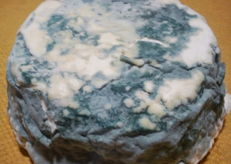 Kéfir de Leche: Guía Completa sobre sus Propiedades y Elaboración