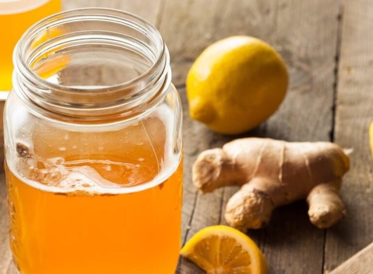 Receta para hacer Kombucha de jengibre - fermenta.io